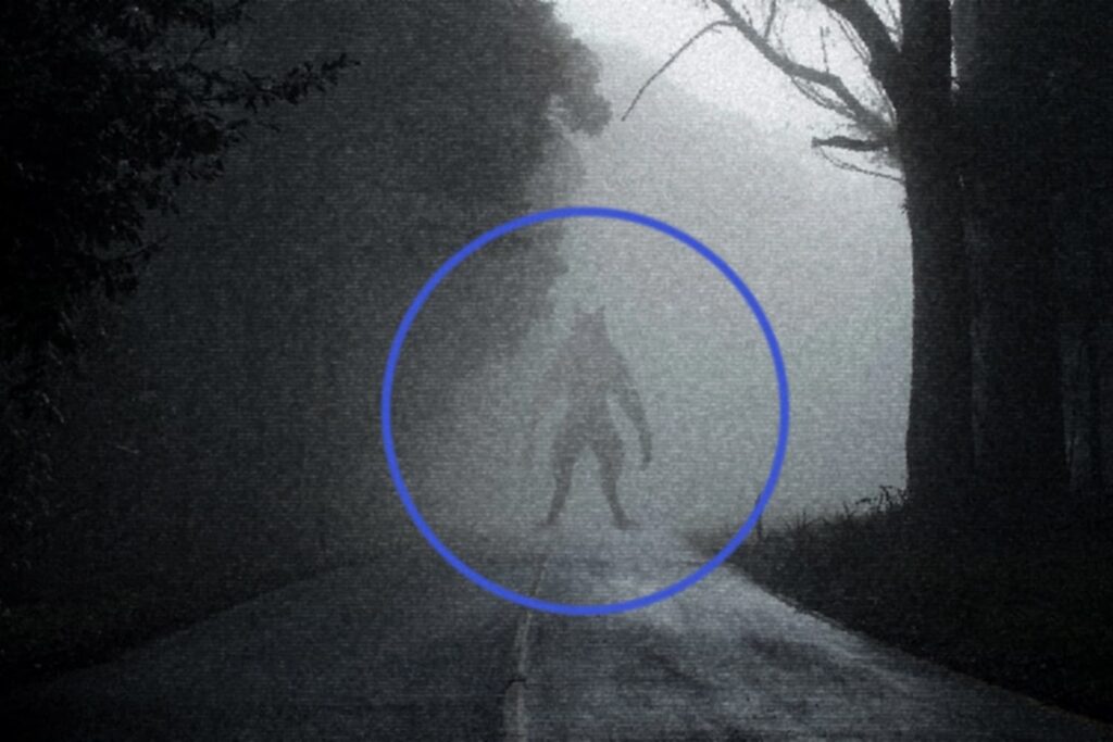 A Lenda da Besta de Bray Road, um enigma da criptozoologia em Wisconsin